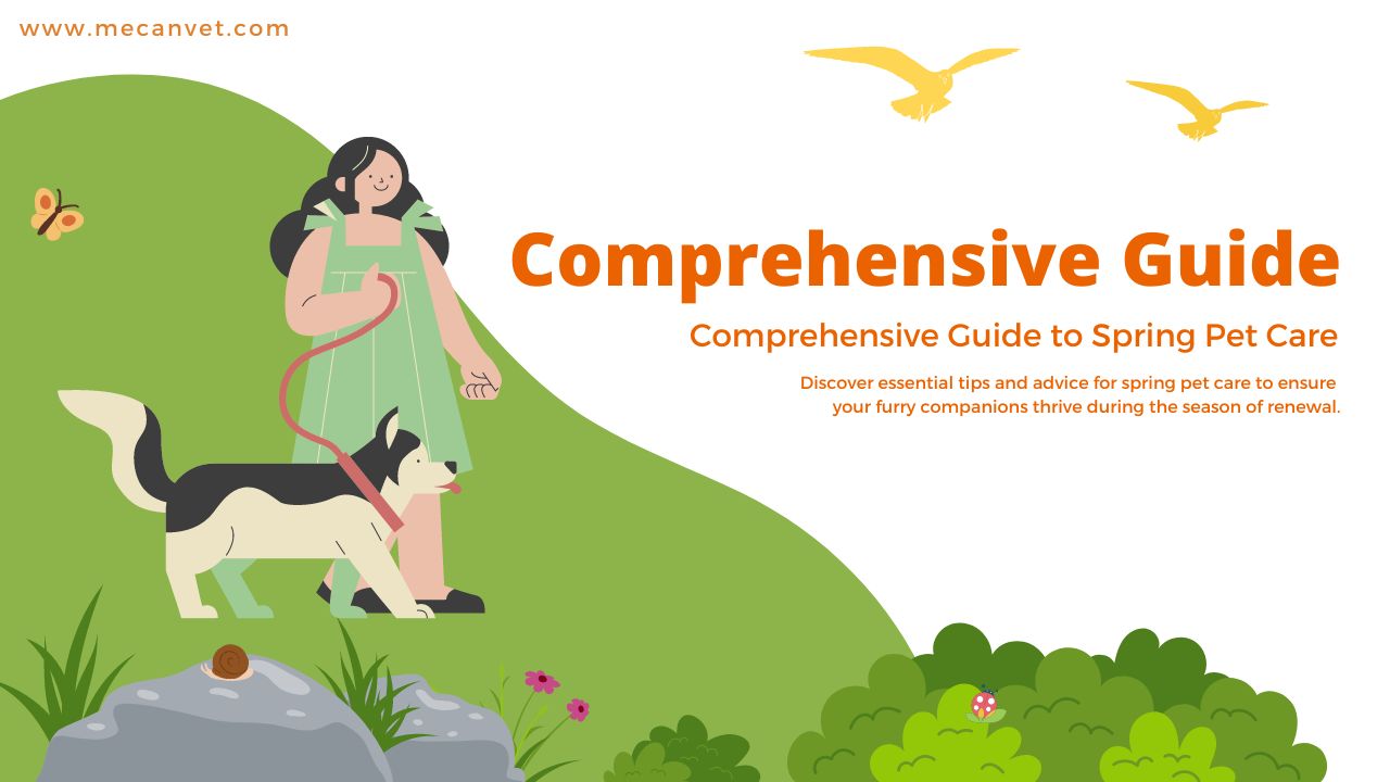 Comprehensive Guide to Spring Pet Care